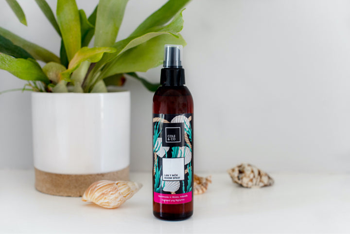 Lan Y Môr – Cole&Co